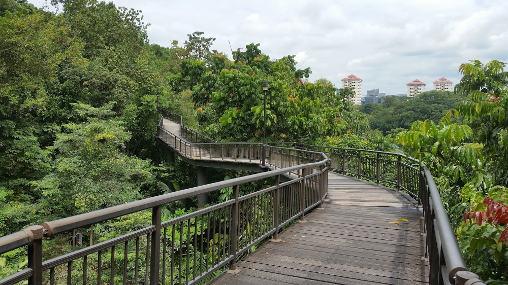 5 Best Running Spots in Western Singapore | My Running Addiction